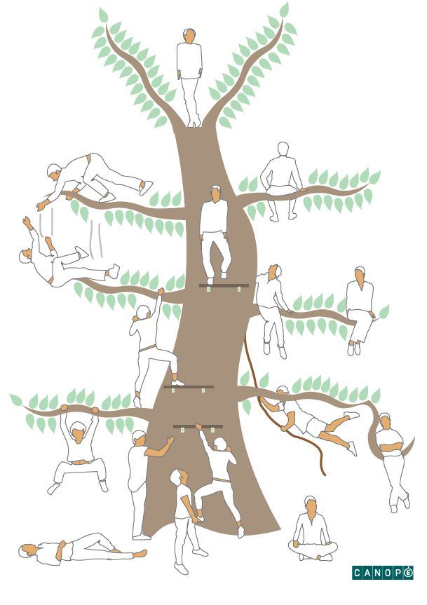 Les émotions : les estimer et les exprimer [Gestion des émotions : Une ...